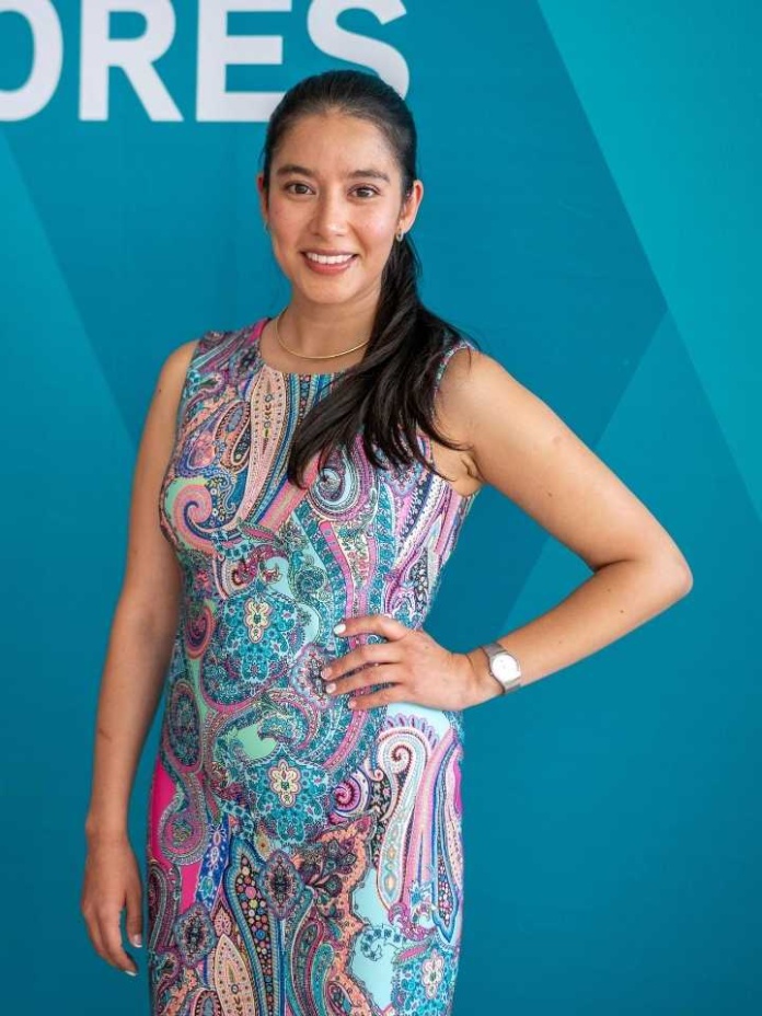 Novamine: innovación chilena que revoluciona el mantenimiento minero a ...